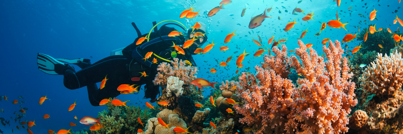 Marine Sciences | Università degli Studi di Milano-Bicocca
